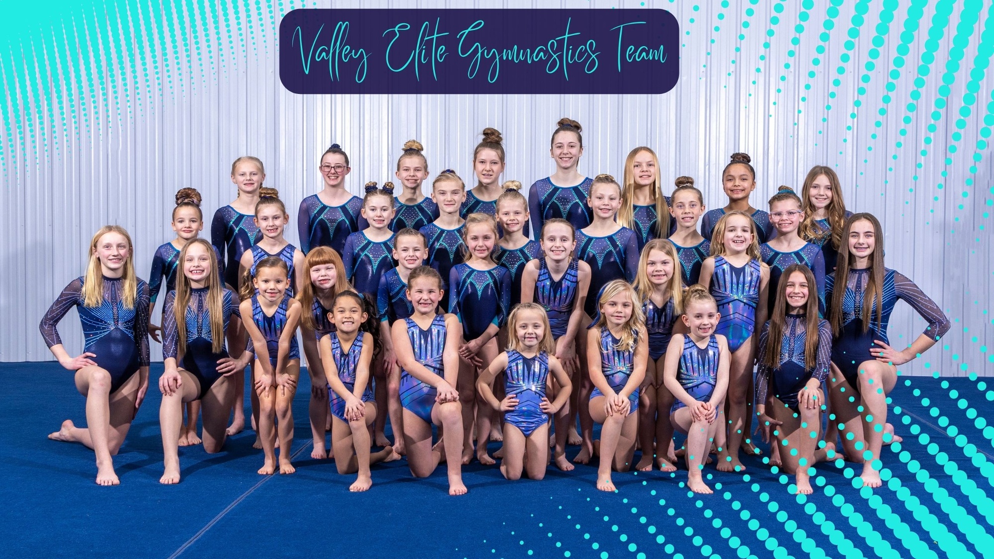 Valley Elite Gymnastics Home